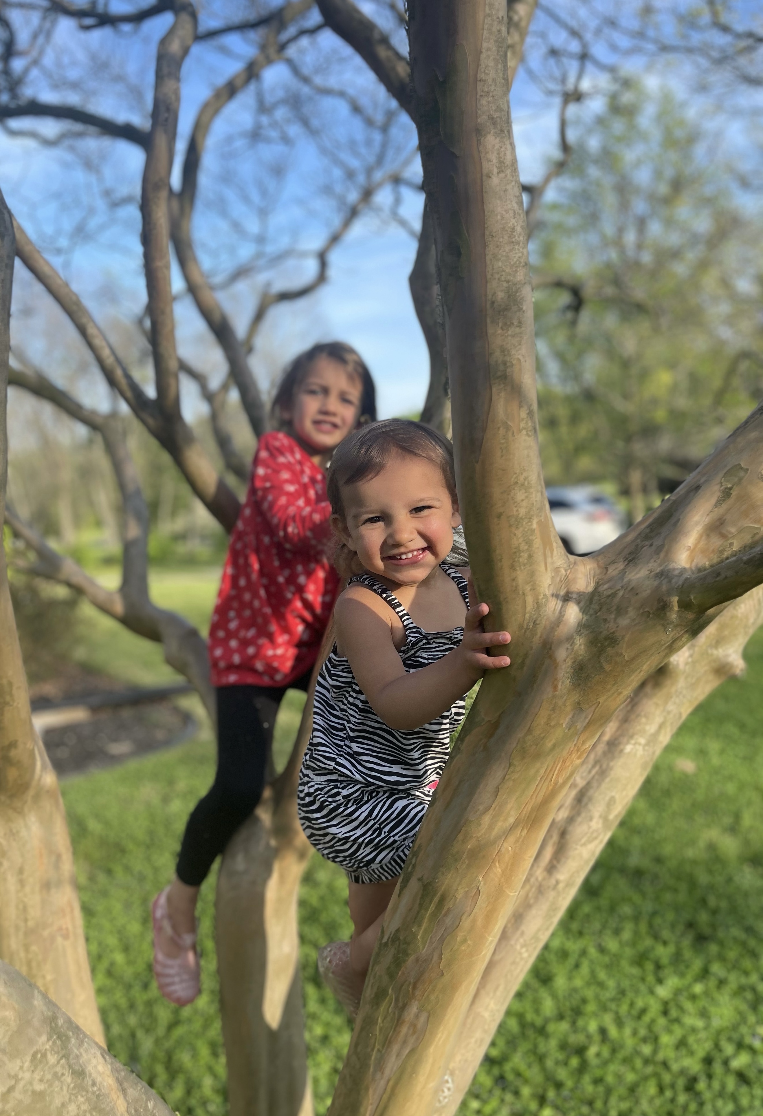Our Tree Babies – Our Haven Restoration